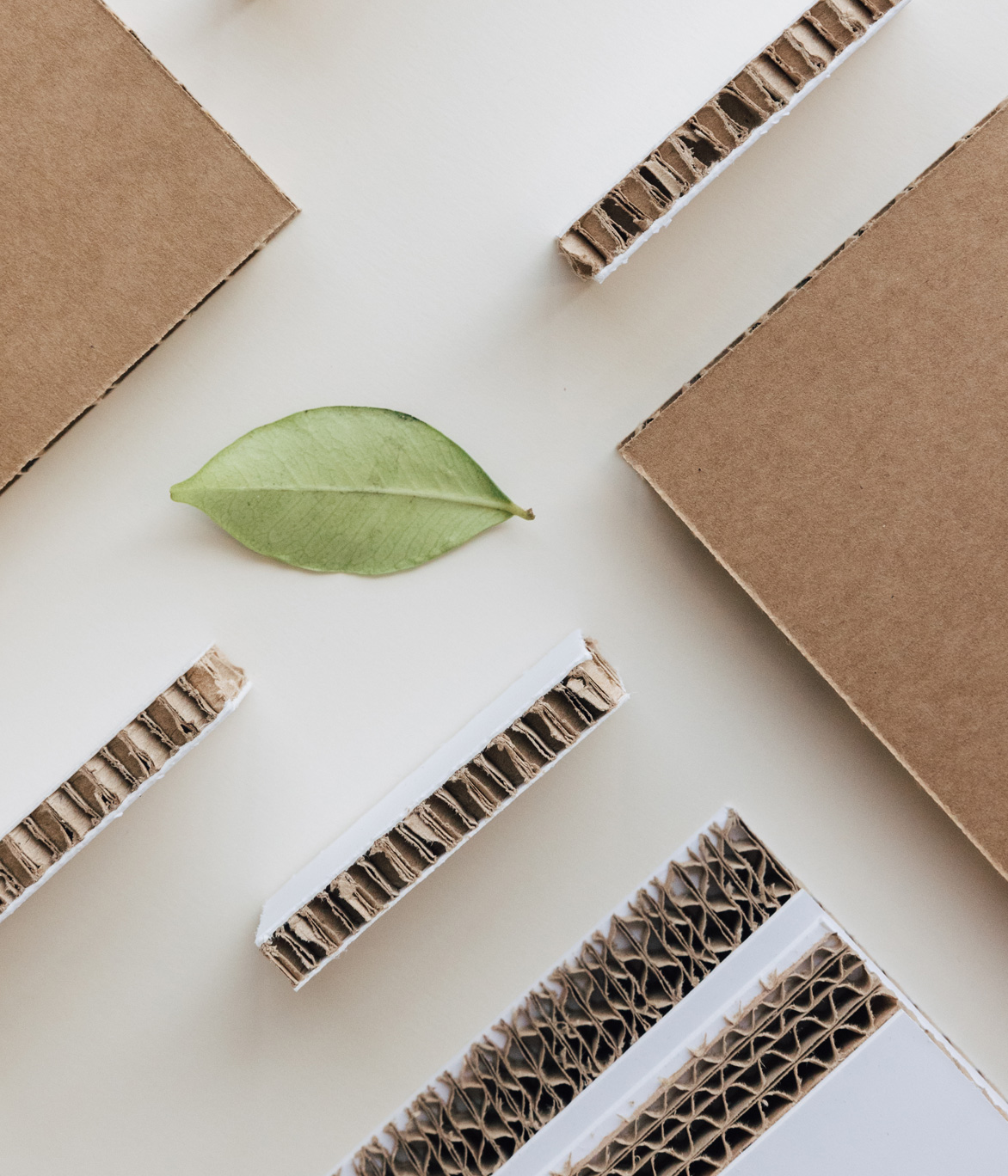 Productos - Northern Design