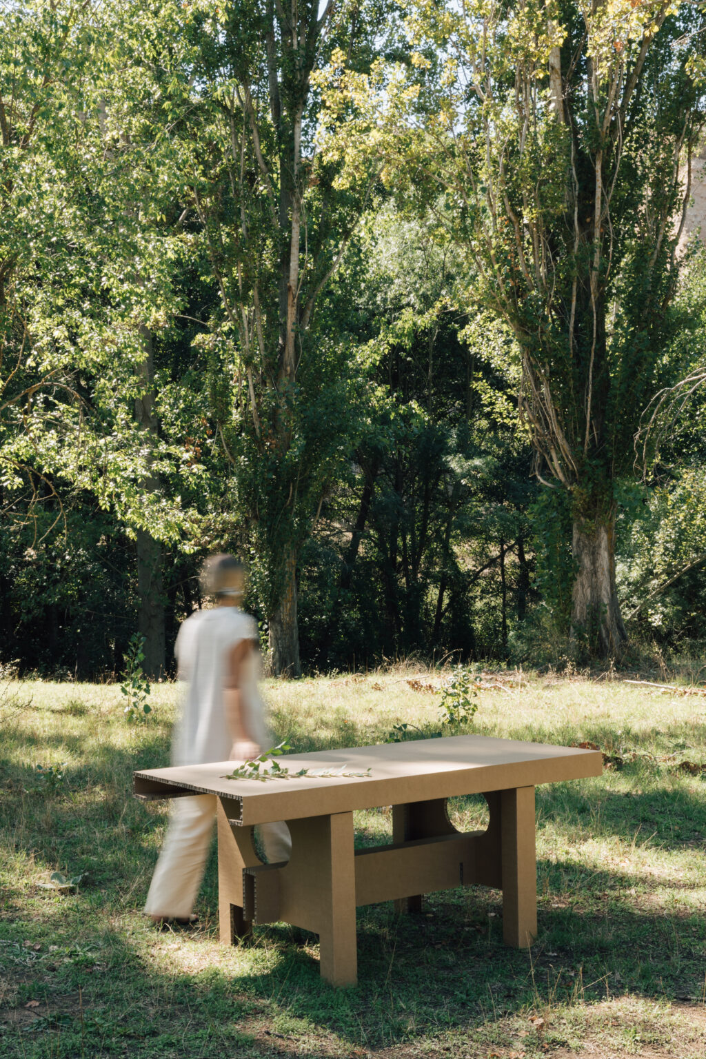 Creating with cardboard - Northern Design